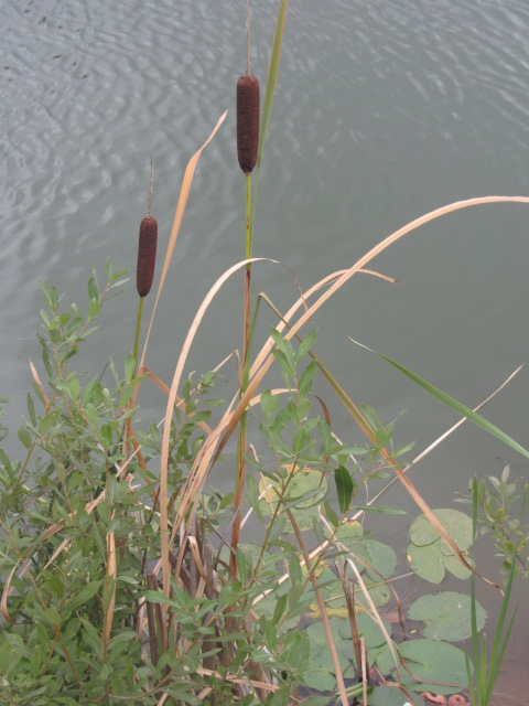 Re: Science – Catch My Drift?